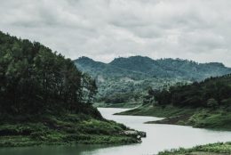 Free Resources Grief Yoga